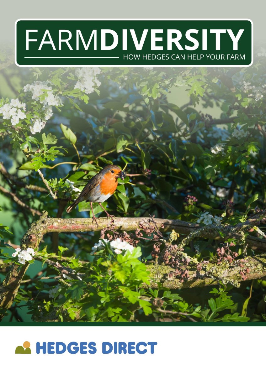 How Hedges Can Help Your Farm